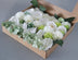 White Green Flower Box Silk Flower for Wedding Party Decor Proposal